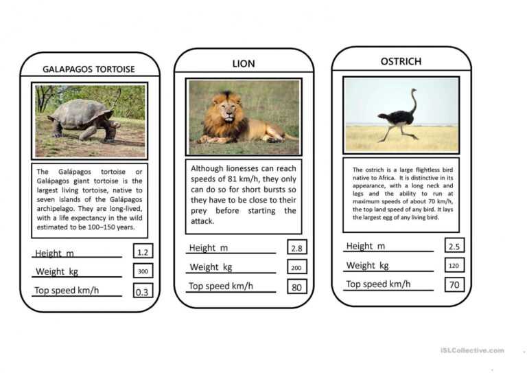 Top Trump Card Template - Creative Inspirational Template Examples